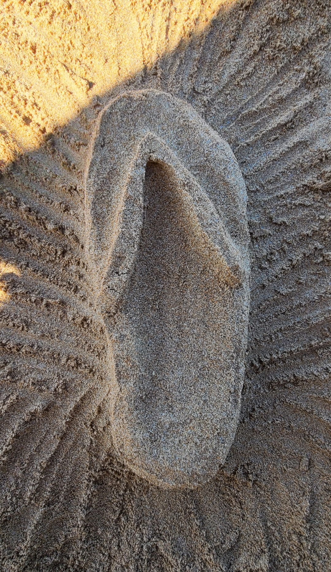 Photo of the Day: Slippah | News, Sports, Jobs - Maui News